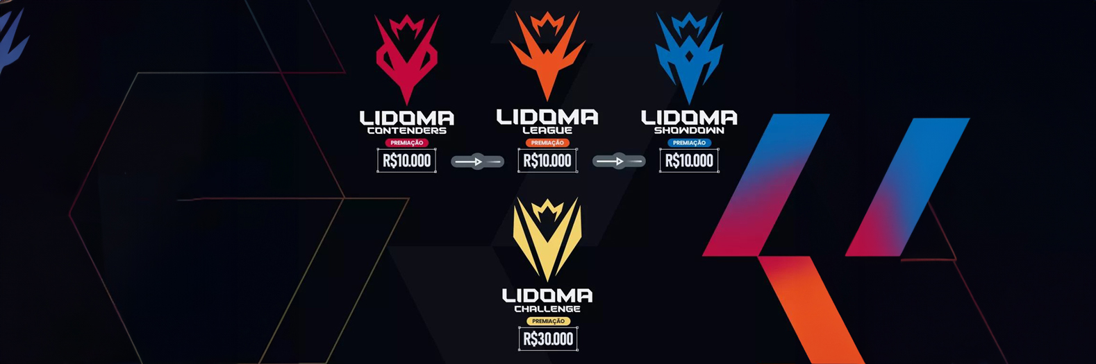 Lidoma | An international gaming tournament organizer is a company ...